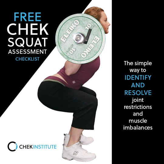 Squat Assessment Checklist