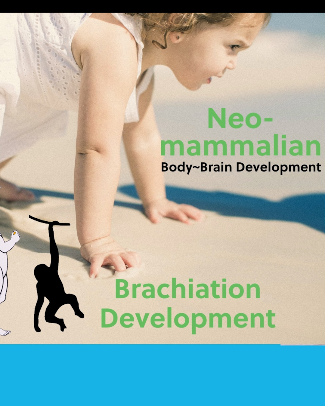 Crawl Before You Walk